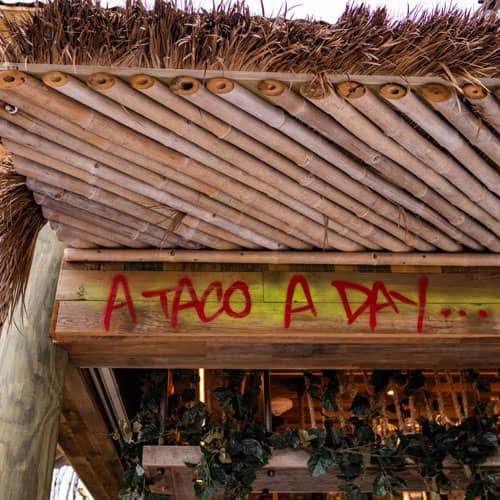 Home | Tacos N Tequila